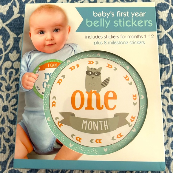 C. R. Gibson | Other | Babys First Year Belly Stickers | Poshmark